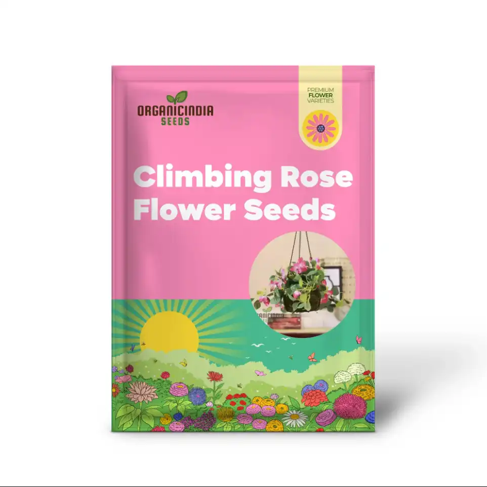 tanzaniashop - Climbing Roses Packets Modern Seeds